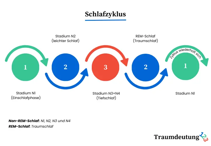 Wie beeinflussen sich Träume und Schlafqualität gegenseitig?